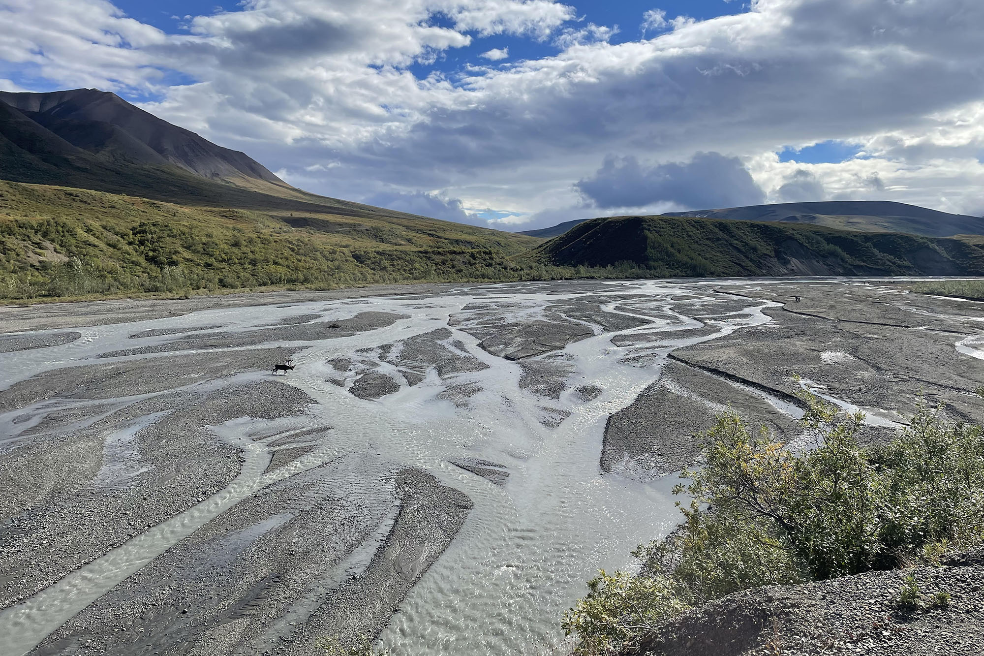 I Live and Work in Alaska’s Denali National Park and Preserve ...
